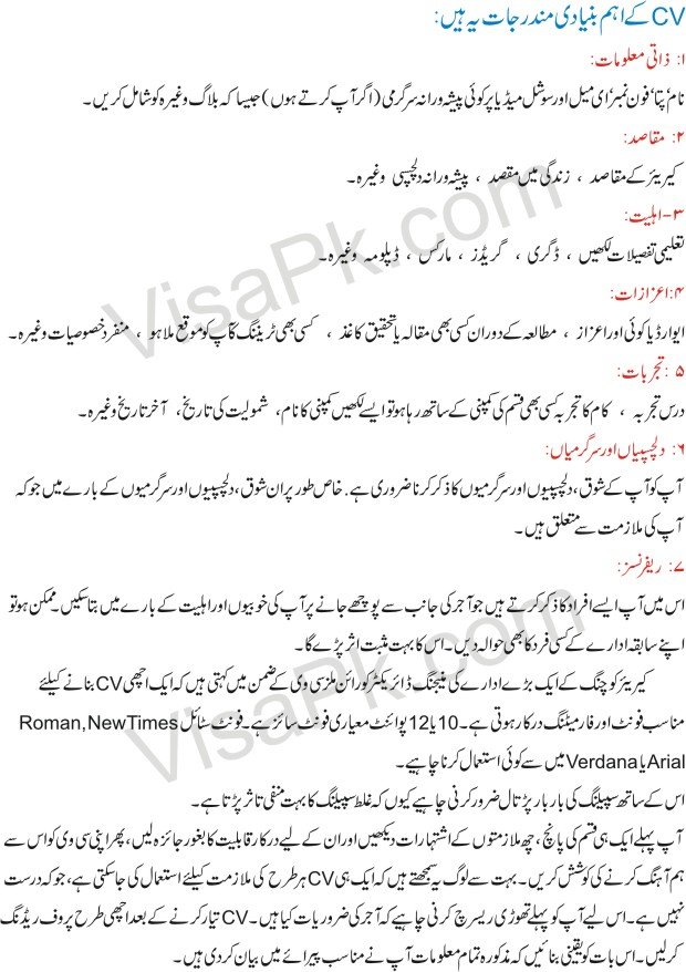 Latest Best Professional CV Format In Urdu 2 Latest Best Professional CV Format In Urdu 2